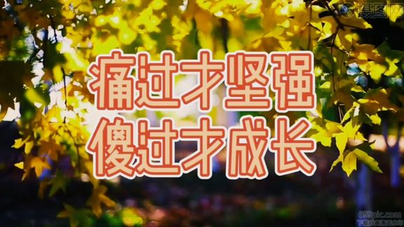 有人说痛过才知道什么叫坚强,傻过才懂得什么叫成长,你认同吗?