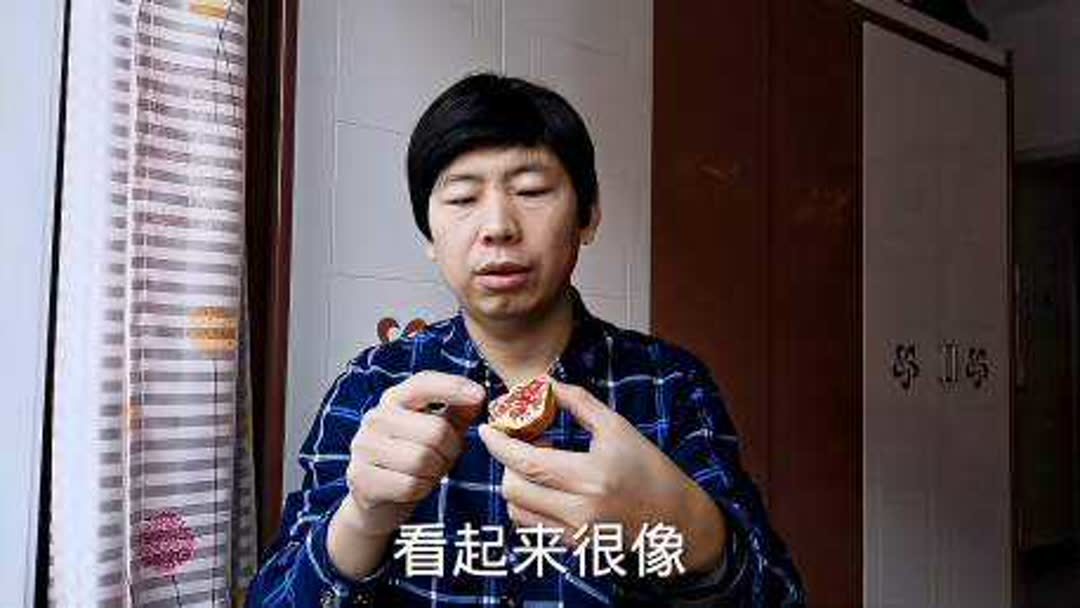 红宝石一样的石榴籽在显微镜下面到底什么样子,一起来看一下