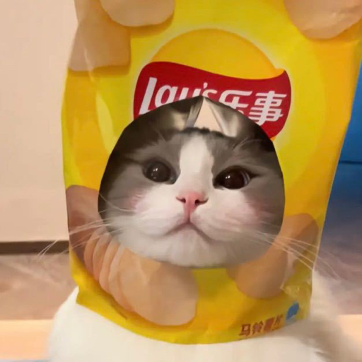 涂山雪雪二代目 