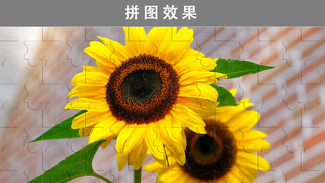 ps制作拼图效果