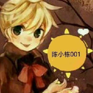 陈小栋001 