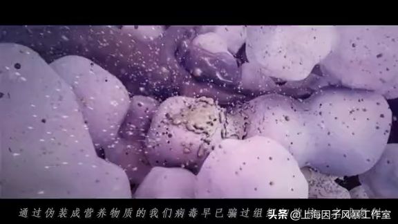 新冠病毒与人体细胞之间的战斗如同异型战场@黄智贤中国 @周鸿祎