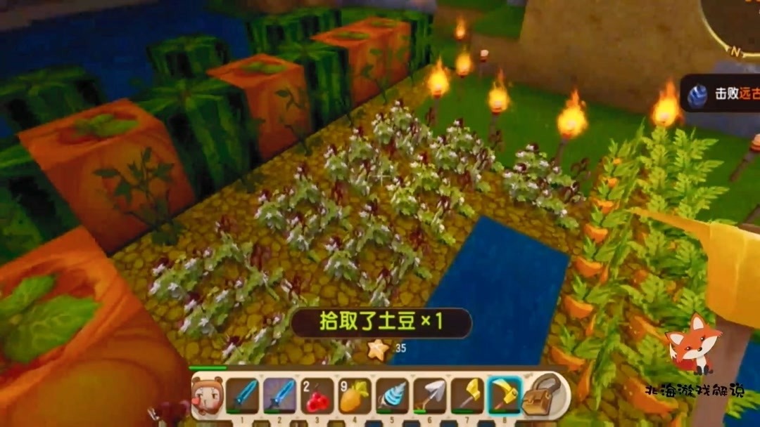 迷你世界:白杨木围栏收起成熟农作物,这么多农作物太刺激了下