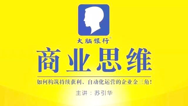 苏引华—总裁商业思维视频