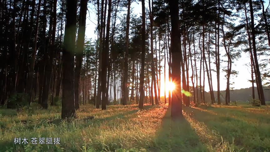 森林防火公益宣传!#防火 #农村 #安全知识 #宣传