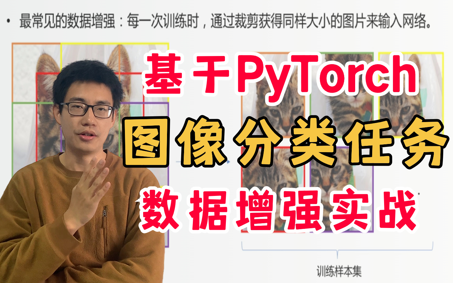 基于Pytorch的图像分类任务数据增强实战,写进简历的深度学习项目实战!