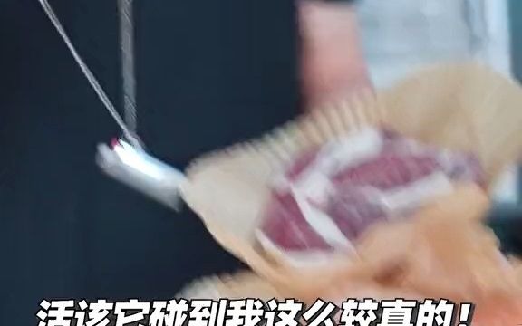 ...美的微晶冰箱 @京东小魔方 @京东家电 #618京东家电和你在一起 #...