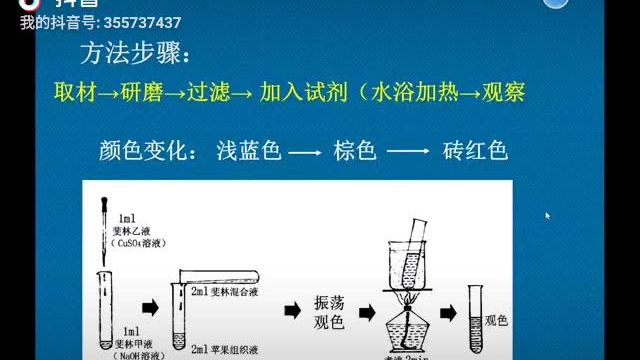 高中生物人教版必修一第二章第一节复习(4)