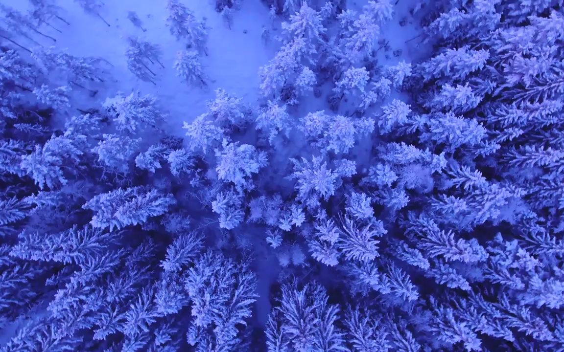 f498 2K画质动态冬季森林雪松雪景俯拍效果视频素材 led背景素材 vj...