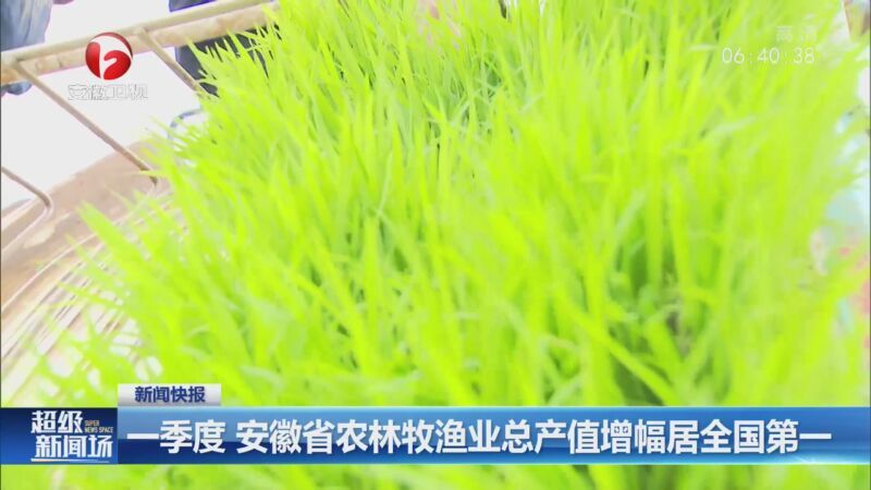 [超级新闻场]一季度 安徽省农林牧渔业总产值增幅居全国第一