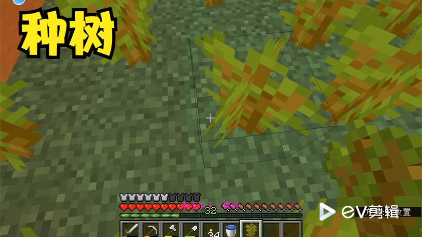 我的世界第四季50:砍完树后种树