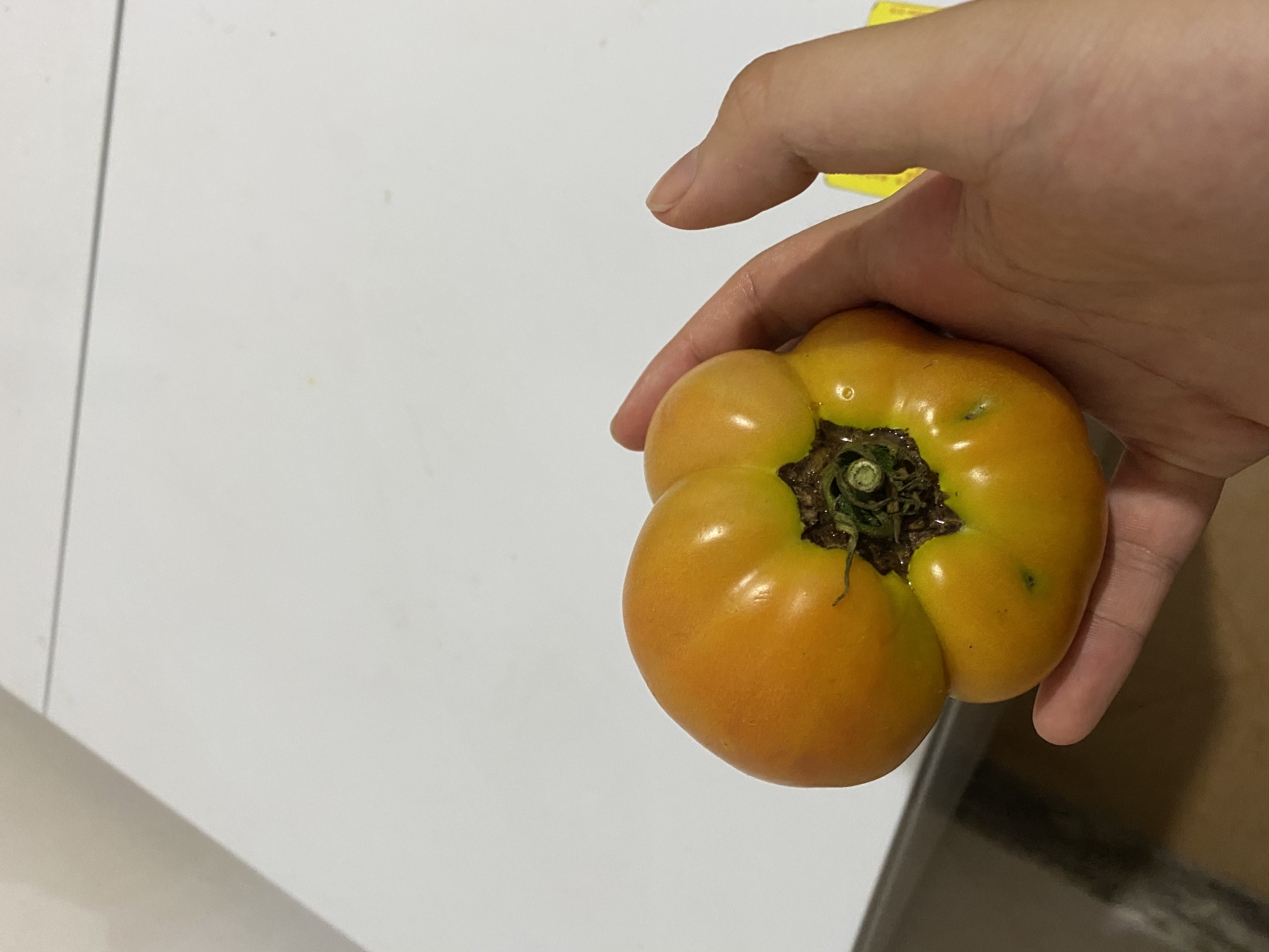 叶遥购物分享小课堂 