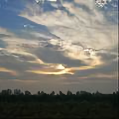 小笨熊chj 