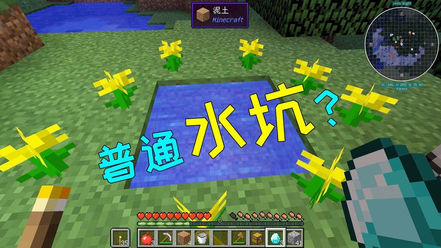 我的世界暮色森林1:普通水坑扔一颗钻石会怎样?开启新世界大门
