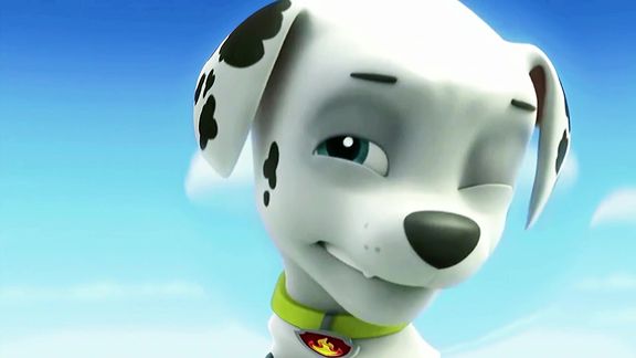 狗狗们的杂技表演心惊胆颤,大象跑出来吓唬人。#搞笑动画