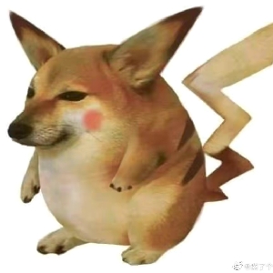 狗A辰 