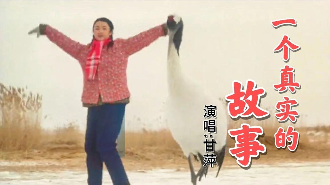 甘萍唱的《一个真实的故事》,讲述护鹤女孩徐秀娟事迹,可歌可泣