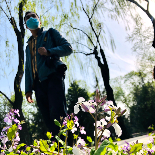 不懂车的老五 