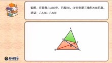 【泰辅导 初中数学】相似三角形判定与性质-下
