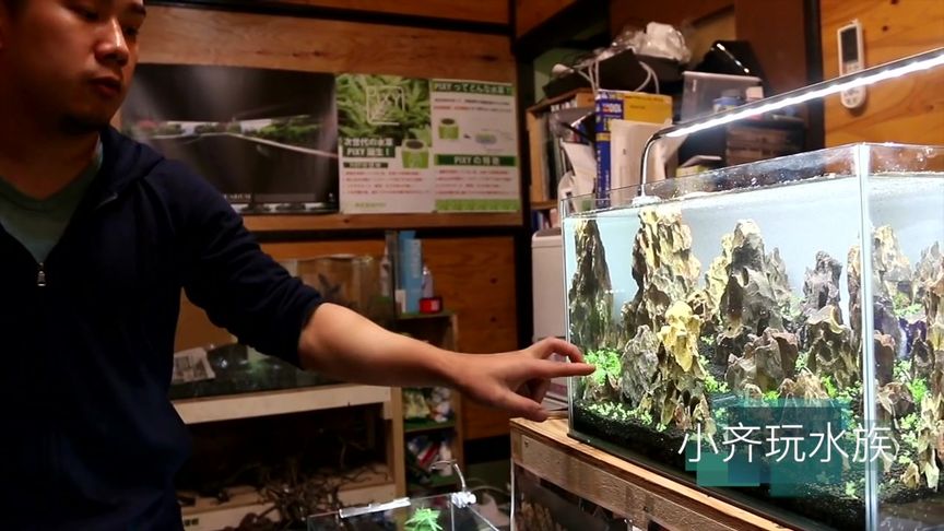 店长开缸45*30*30松皮石造景 来自日本