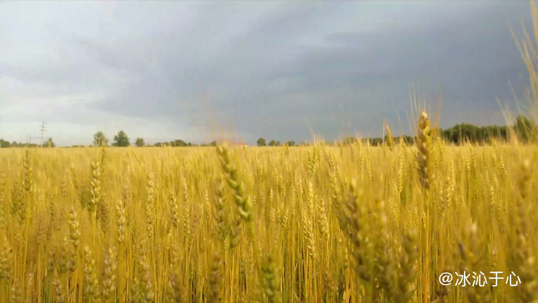 探秘中国北极,避暑大兴安岭