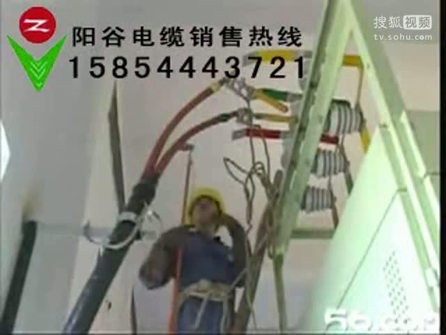 嘉兴慧远电线_金川电线电缆厂_电力电缆载流量标准_阳工电缆代理