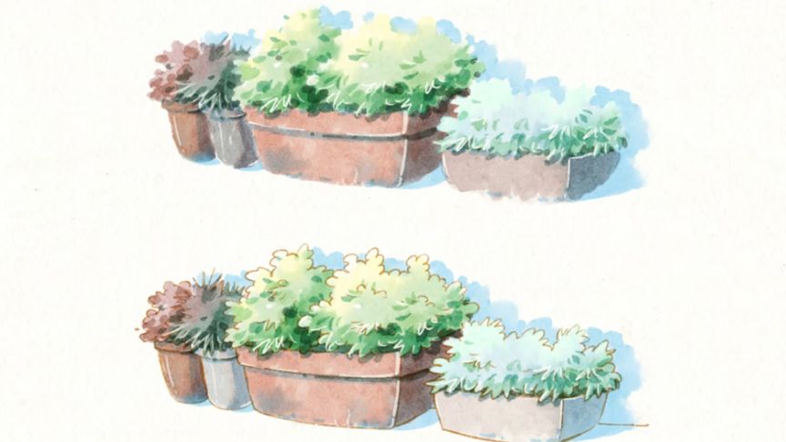 iPad插画|简单3步学会画ߪ�清新小植物