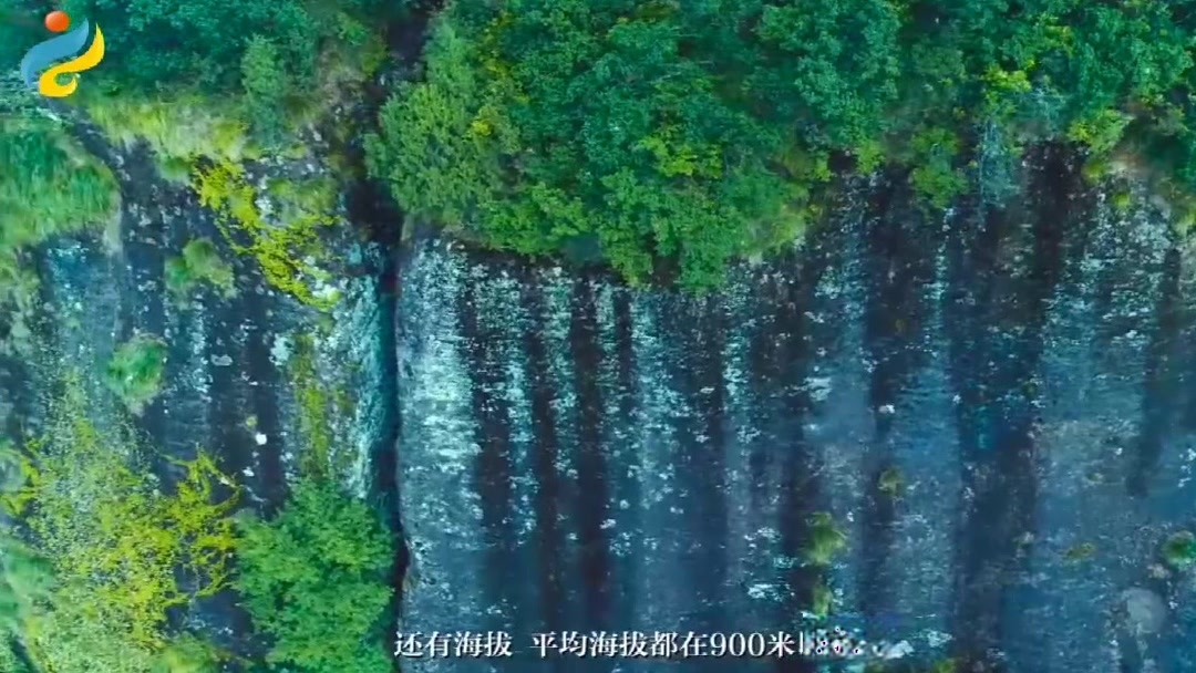 中国品牌推介网:厦门茶人岭电子商务股份有限公司