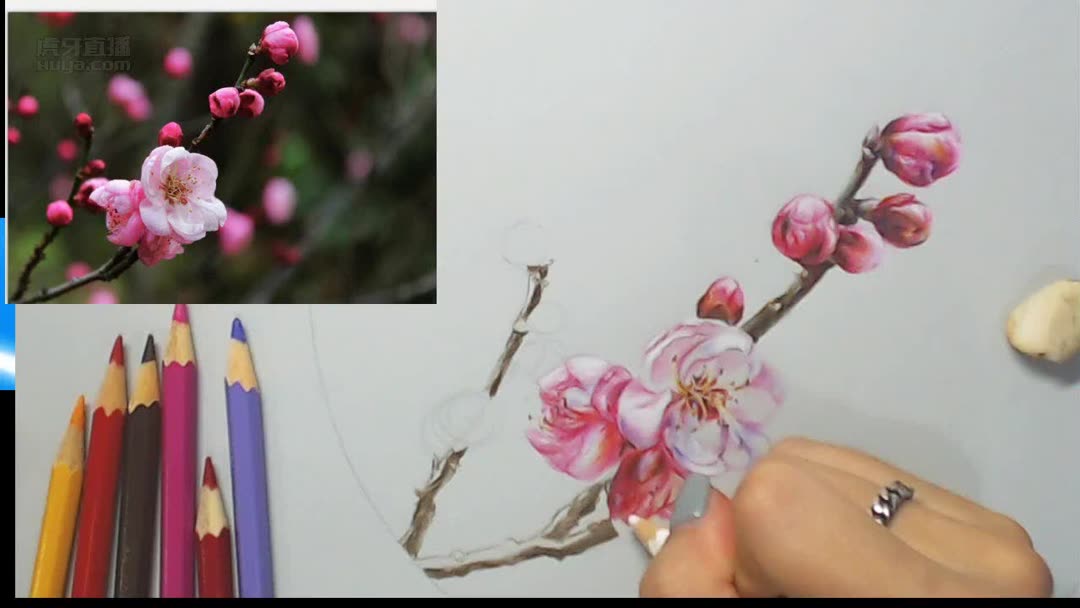 彩铅画零基础教程——十里桃花
