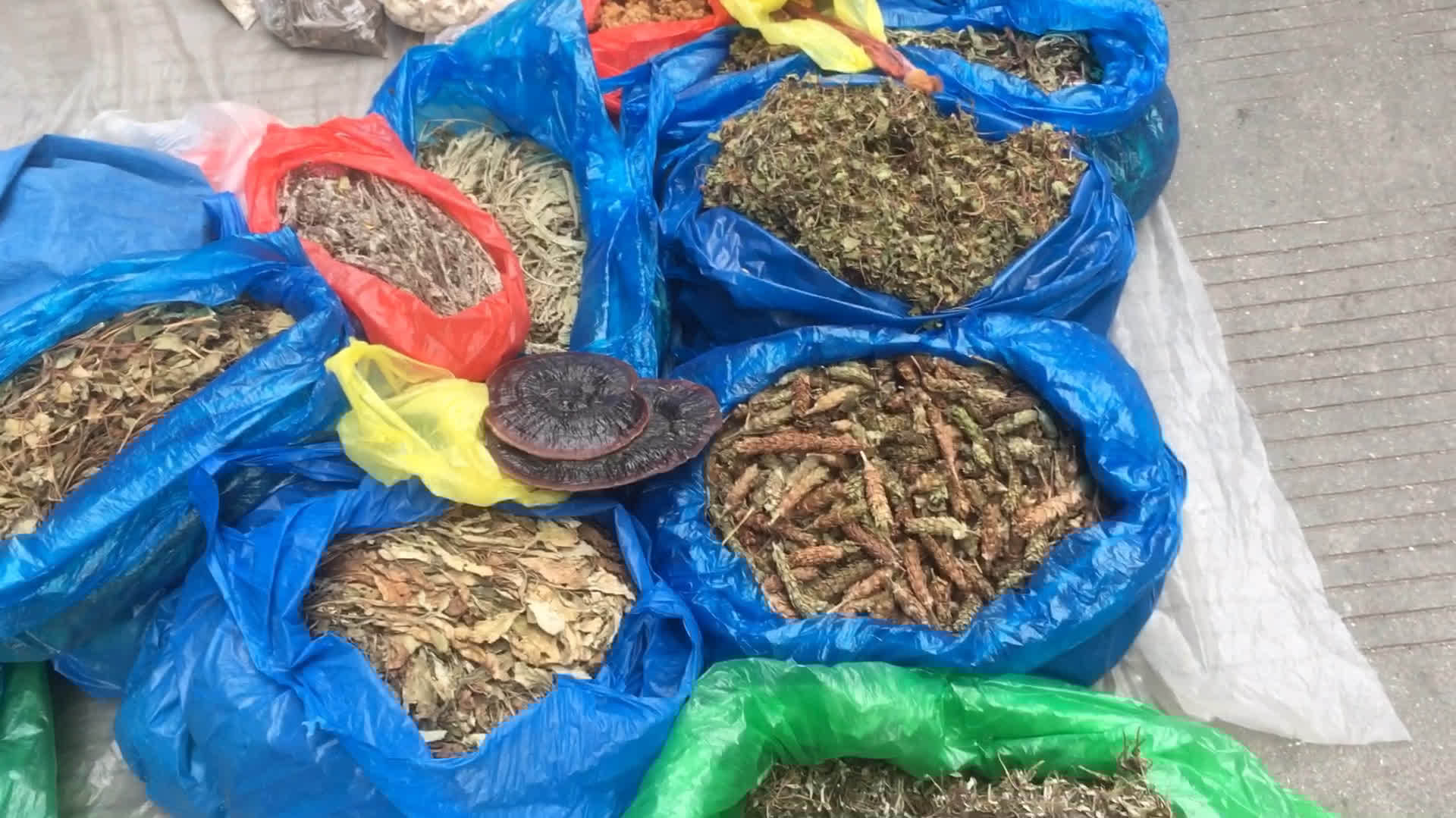 街边偶遇老中医卖中草药,来看看你们认识几种