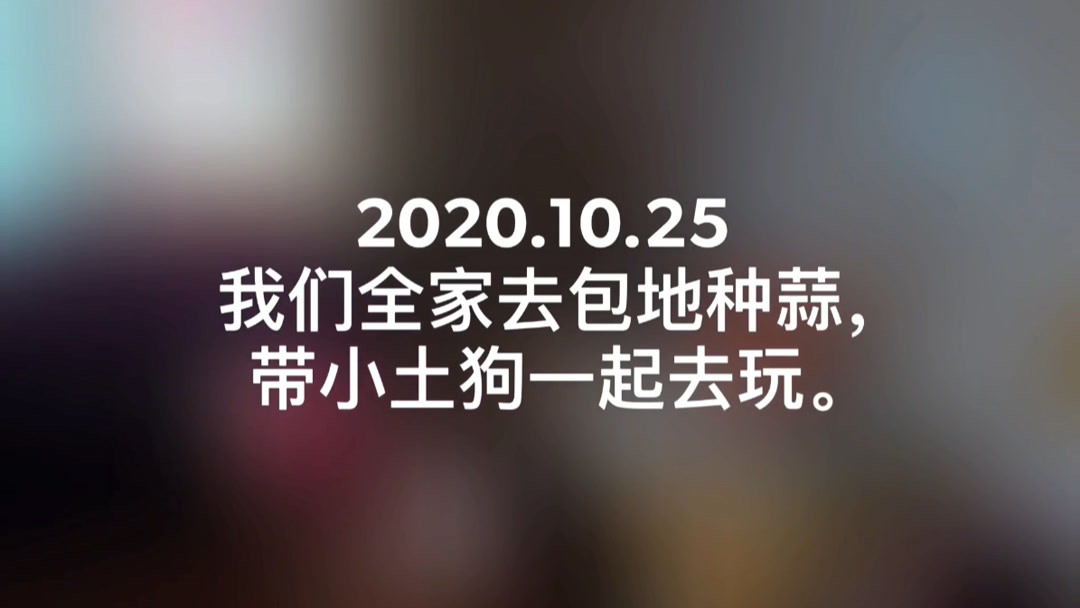 第一次用GoPro剪辑视频,家人种蒜,带狗狗去玩。