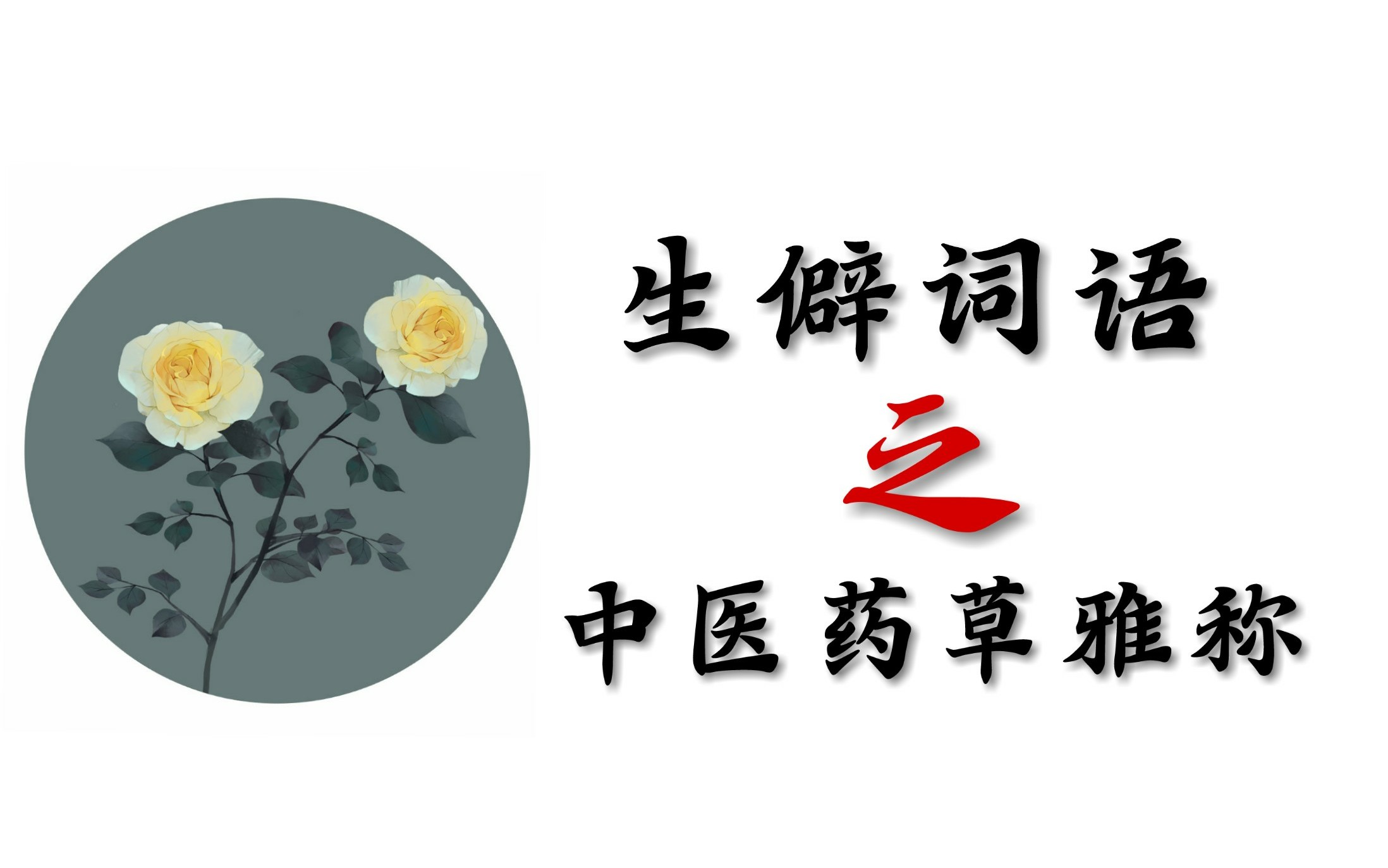 【生僻词】一些生僻的中医药草雅称及其用法|都是日常可用的