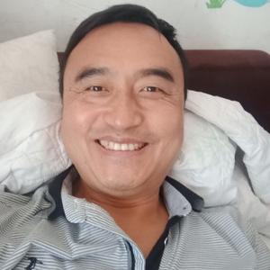 垛牛小弟 