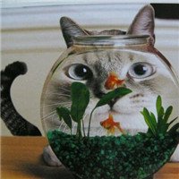 爱尚视界 