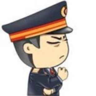风过叶落11 