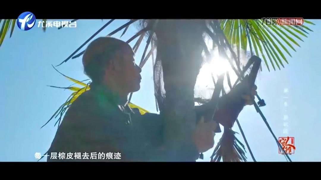 这种树除了提供观赏,树皮还有大作用,在一些人手里是宝贝