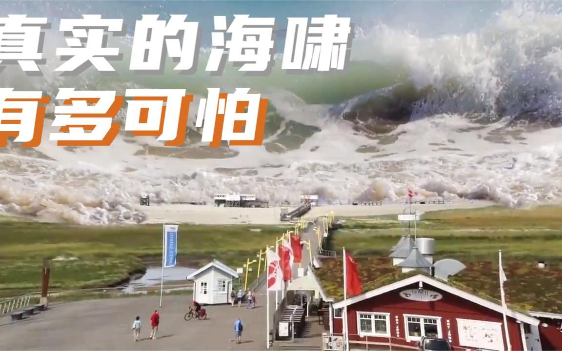 海啸有多可怕?海啸是如何形成的,最大海啸524米堪比深水炸弹