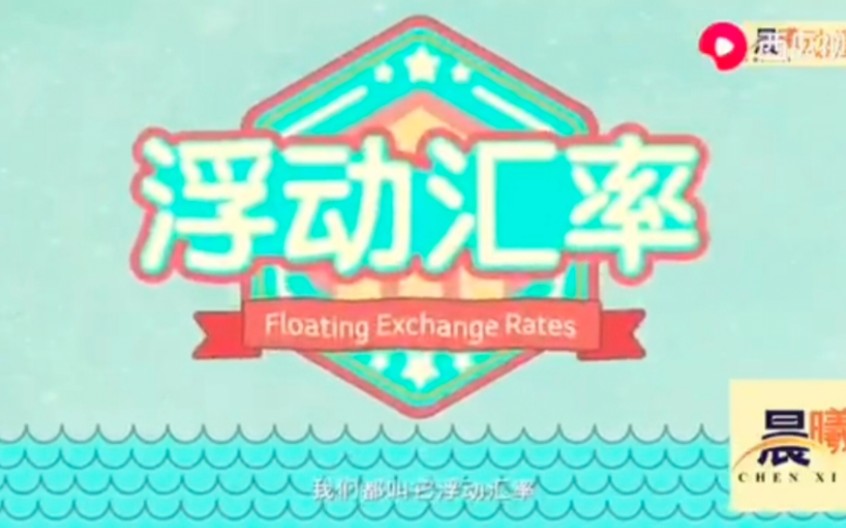 了解外汇交易(四)浮动汇率讲解