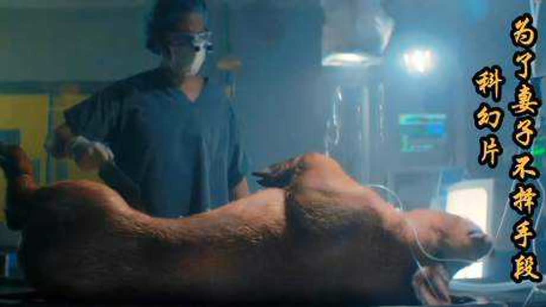 科学家为救绝症妻子,为妻子注入水母的基因,移植猪的器官