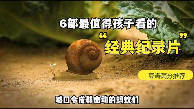 盘点6部最值得孩子看的经典纪录片!豆瓣高分推荐,儿童节快乐