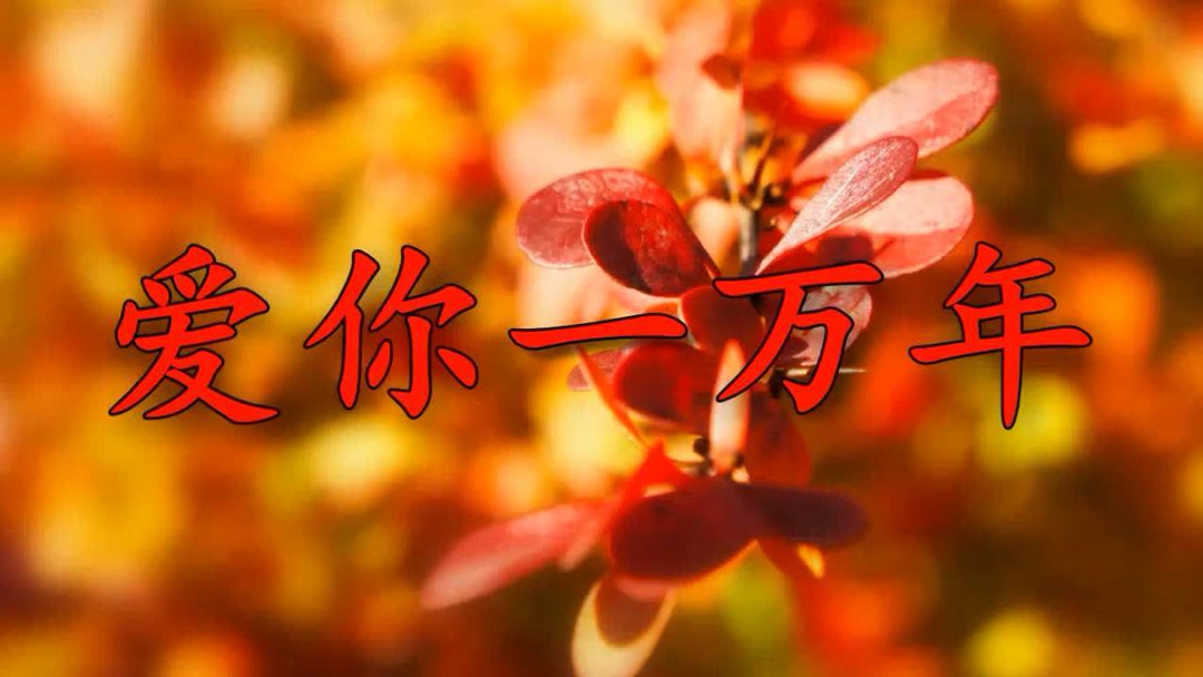 嗓音动听!《爱你一万年》写实的歌词,天籁之声