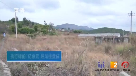 执行标的7亿余元 烂尾楼盘成“烫手山芋”