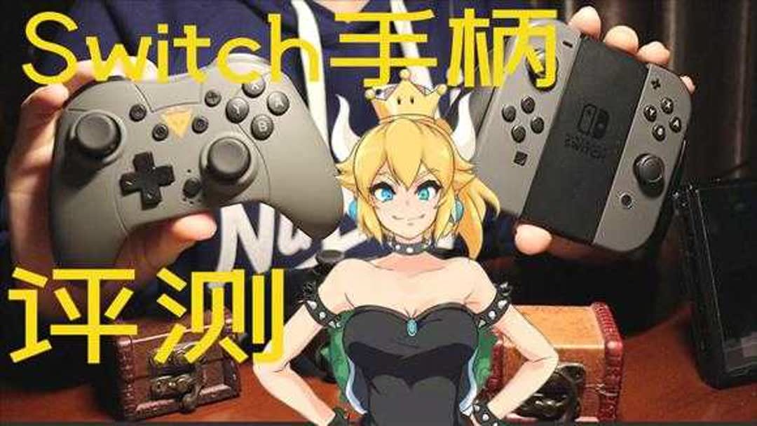 【测完就送】你TM管这叫评测?Switch手柄评测!