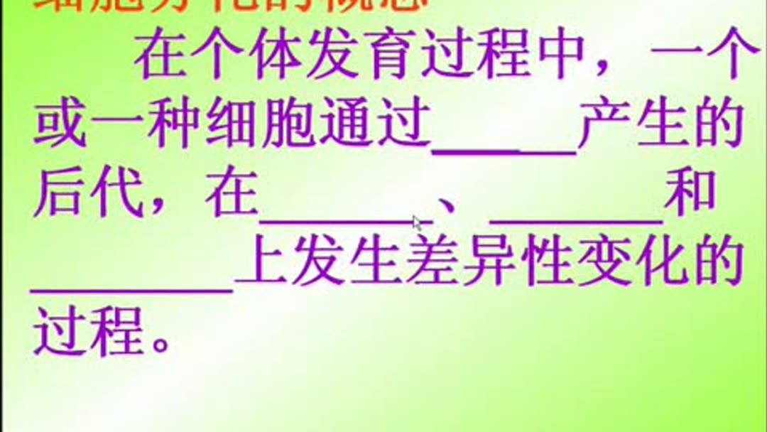 细胞分化的过程