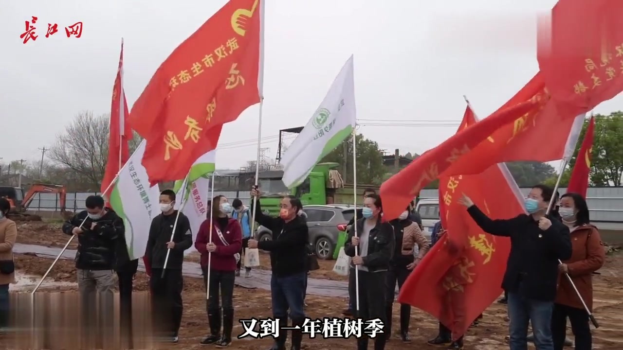 植金桂、听低碳故事汇,市生态环境局开展义务植树活动记者