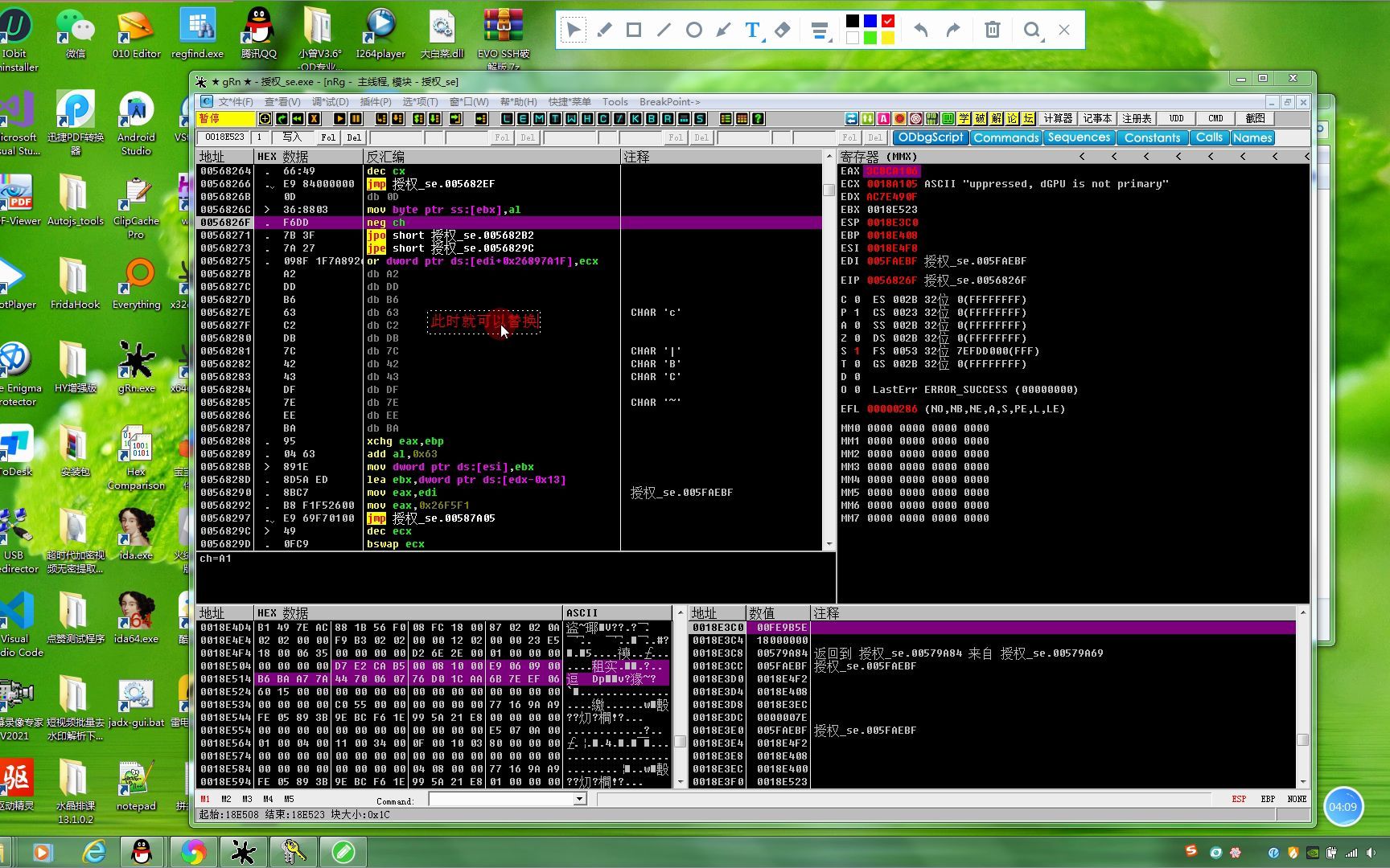大白PatchSE机器码演示