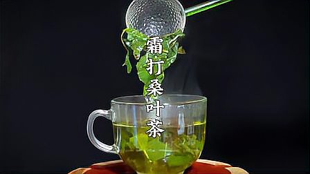 秋天霜打后的桑叶价值很高,知道它的作用你也快收藏,桑叶茶