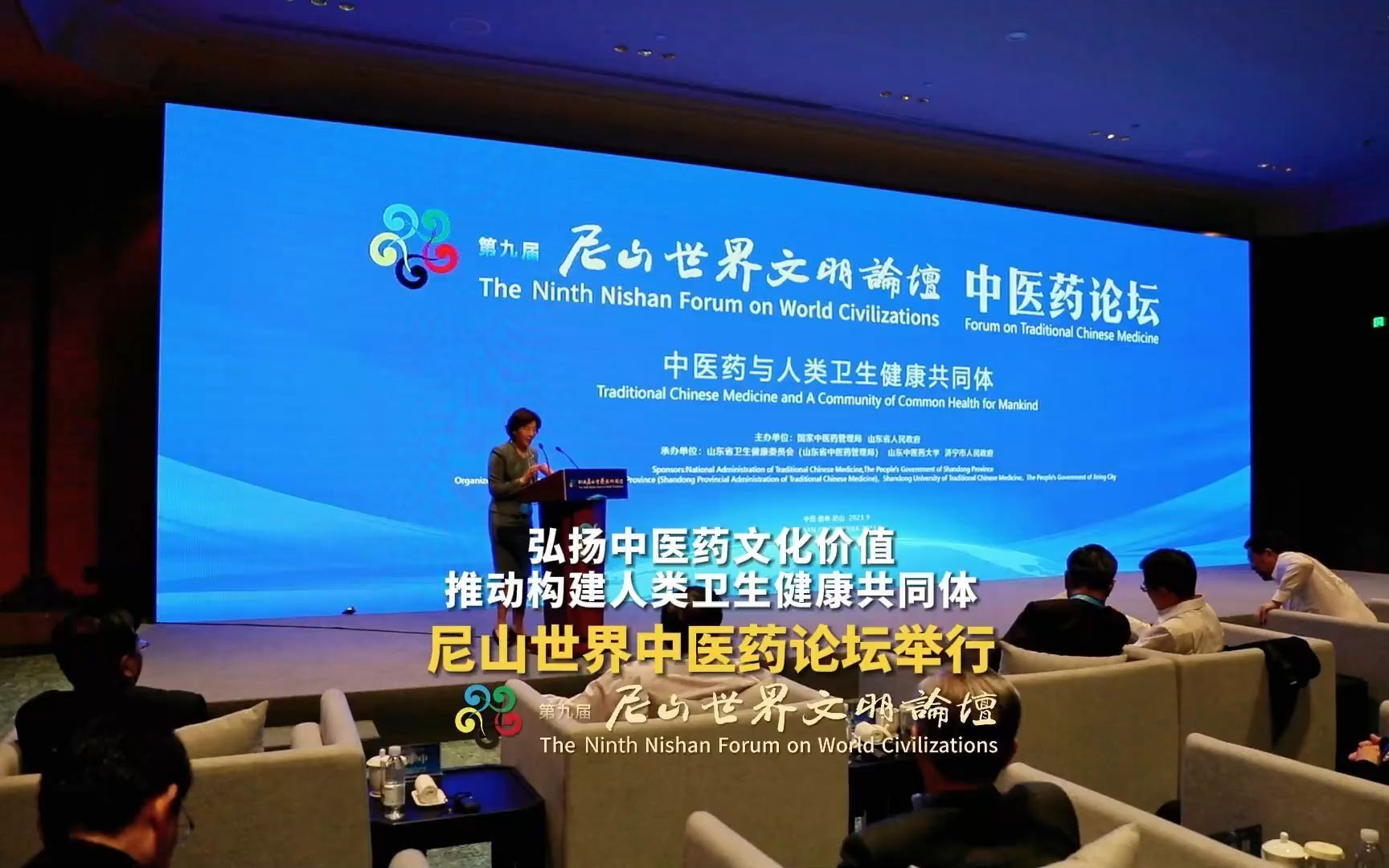 弘扬中医药文化价值 推动构建人类卫生健康共同体