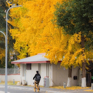 因材兴川 