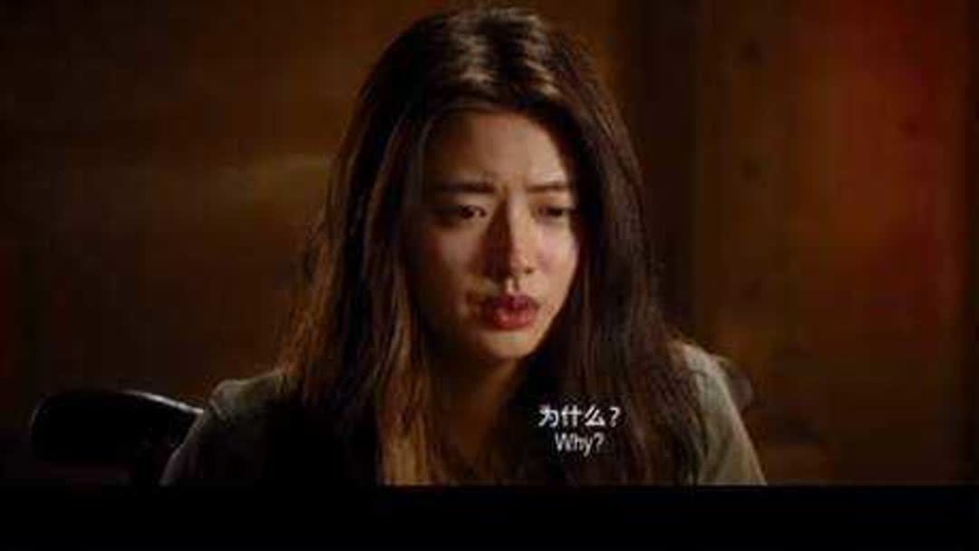 用高科技电子鸽子和蜜蜂侦测器进行侦测?太先进了